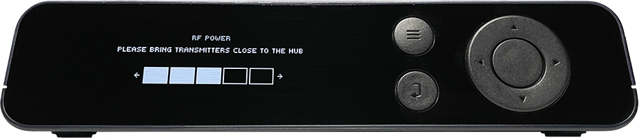 What can I do on the Hub DSP Receiver screen?